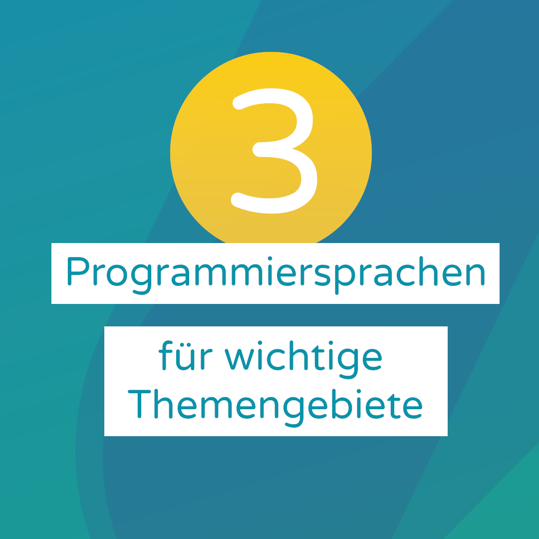 Drei Programmiersprachen für wichtige Themengebiete! - TwinDash